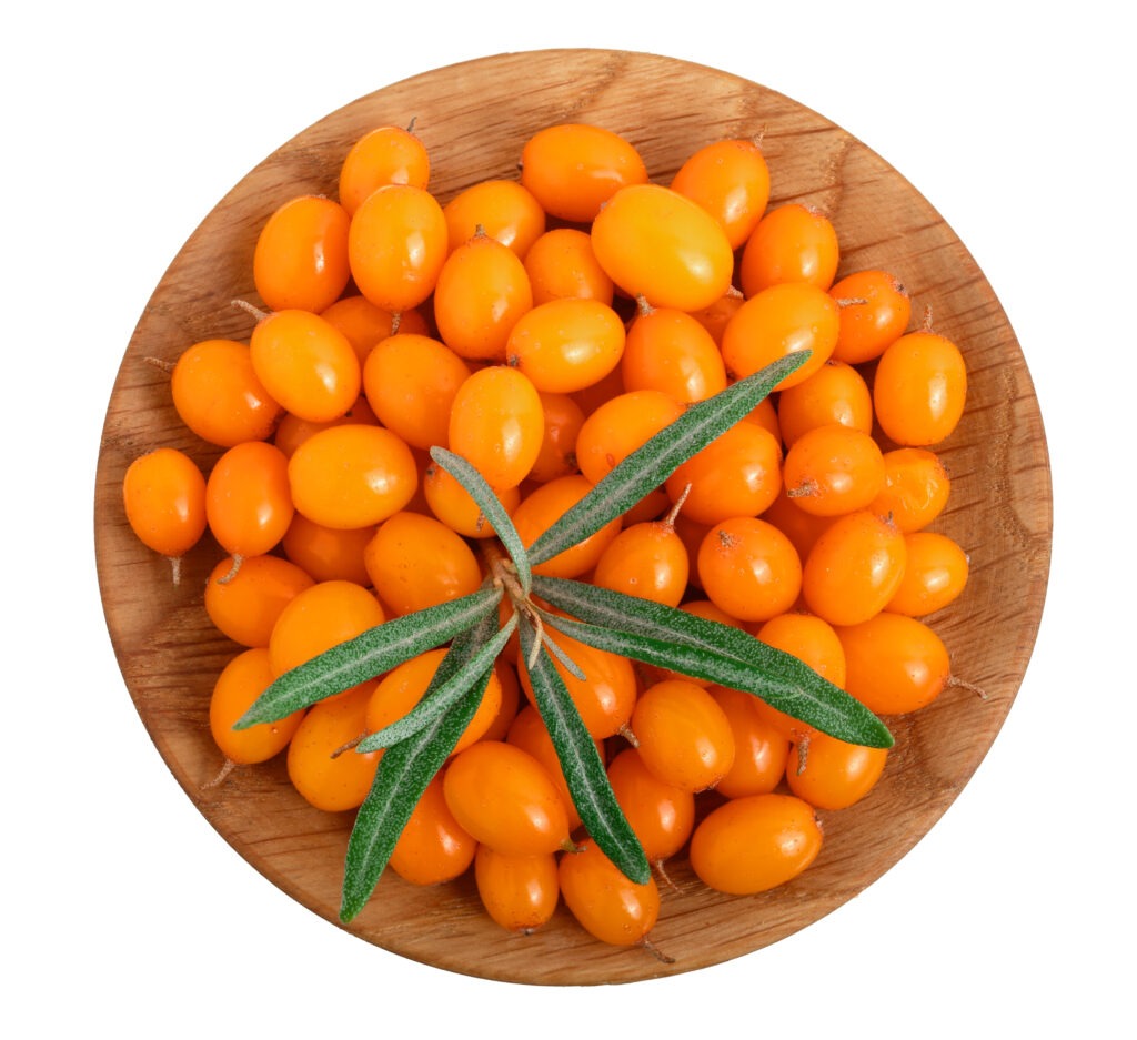 Home - Dago Seaberry