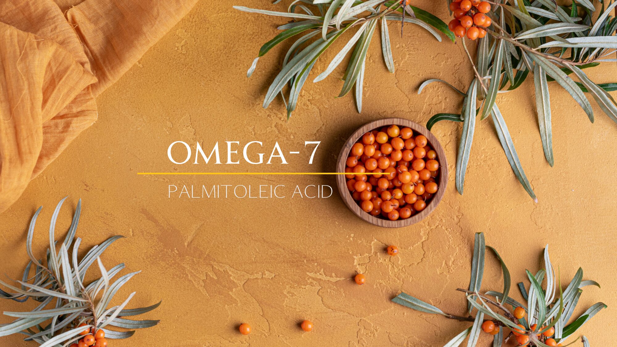 Omega-7 Palmitoleic Acid in Sea Buckthorn Pulp Oil - Dago Seaberry
